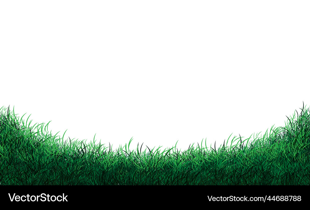 Realistic green grass field curve on white Vector Image