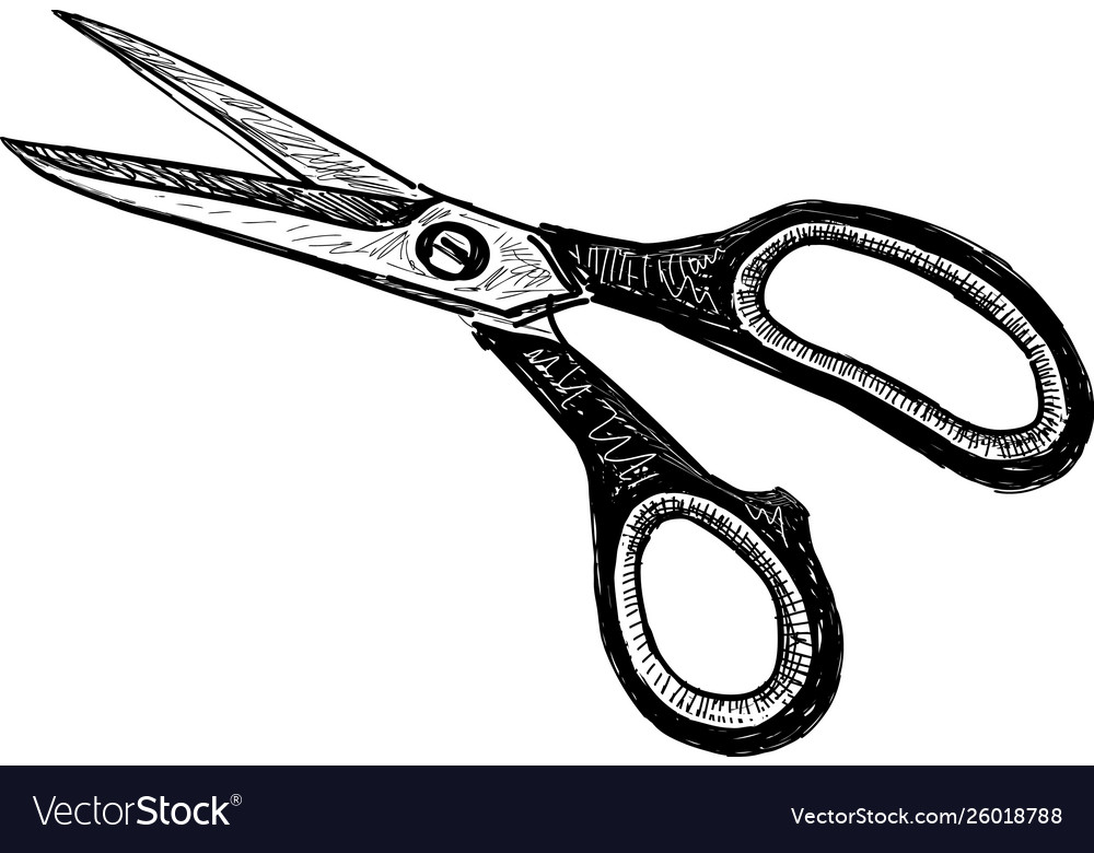 Scissors Royalty Free Vector Image - VectorStock