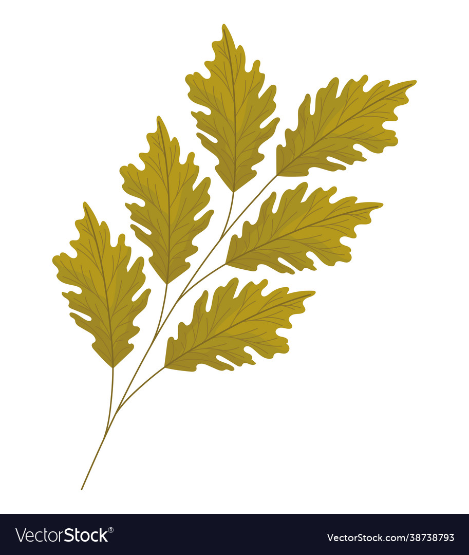 Autumn leaves Royalty Free Vector Image - VectorStock