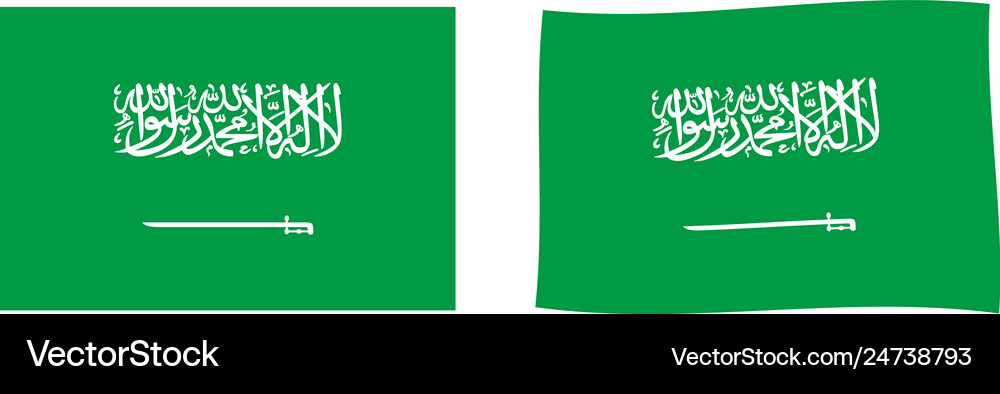 Kingdom saudi arabia flag white calligraphic Vector Image