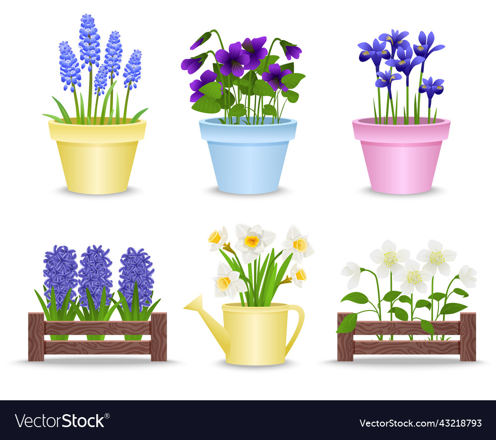 Spring flower pots set Royalty Free Vector Image