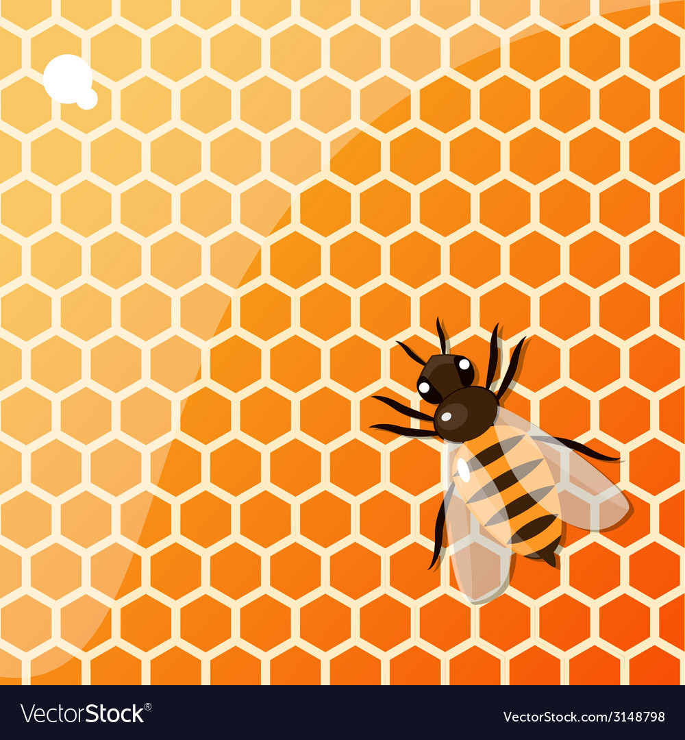 Bee Royalty Free Vector Image - VectorStock