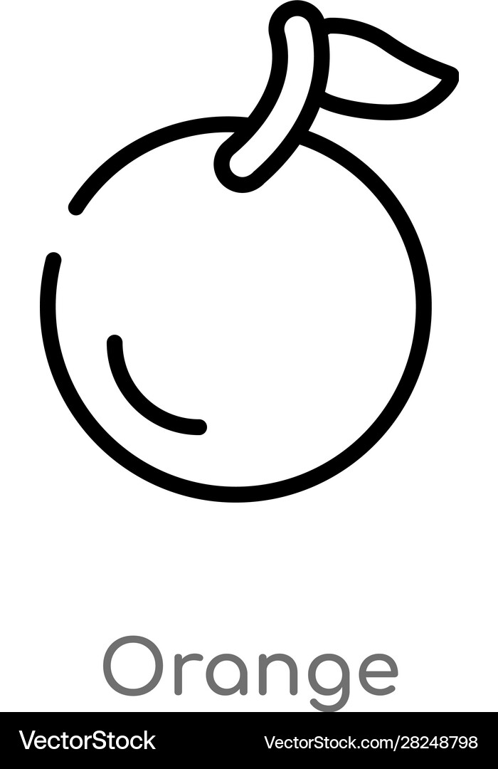 Orange Circle Outline