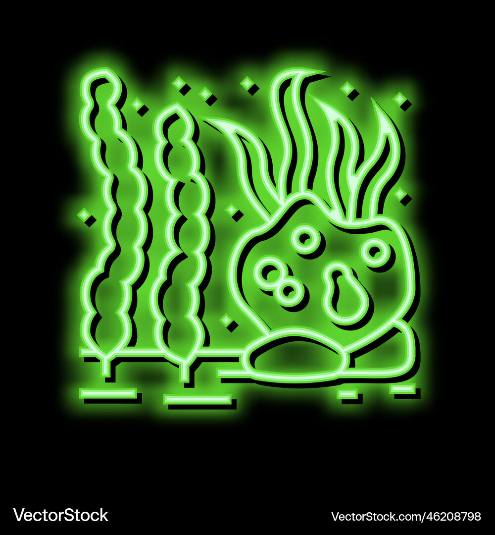 Seaweed ocean neon glow icon Royalty Free Vector Image