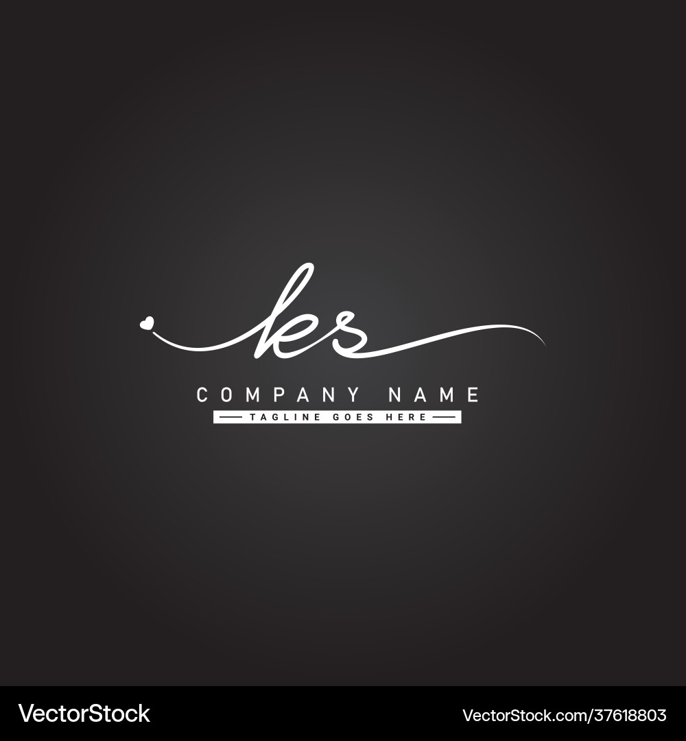 Initial letter ks logo - handwritten signature Vector Image