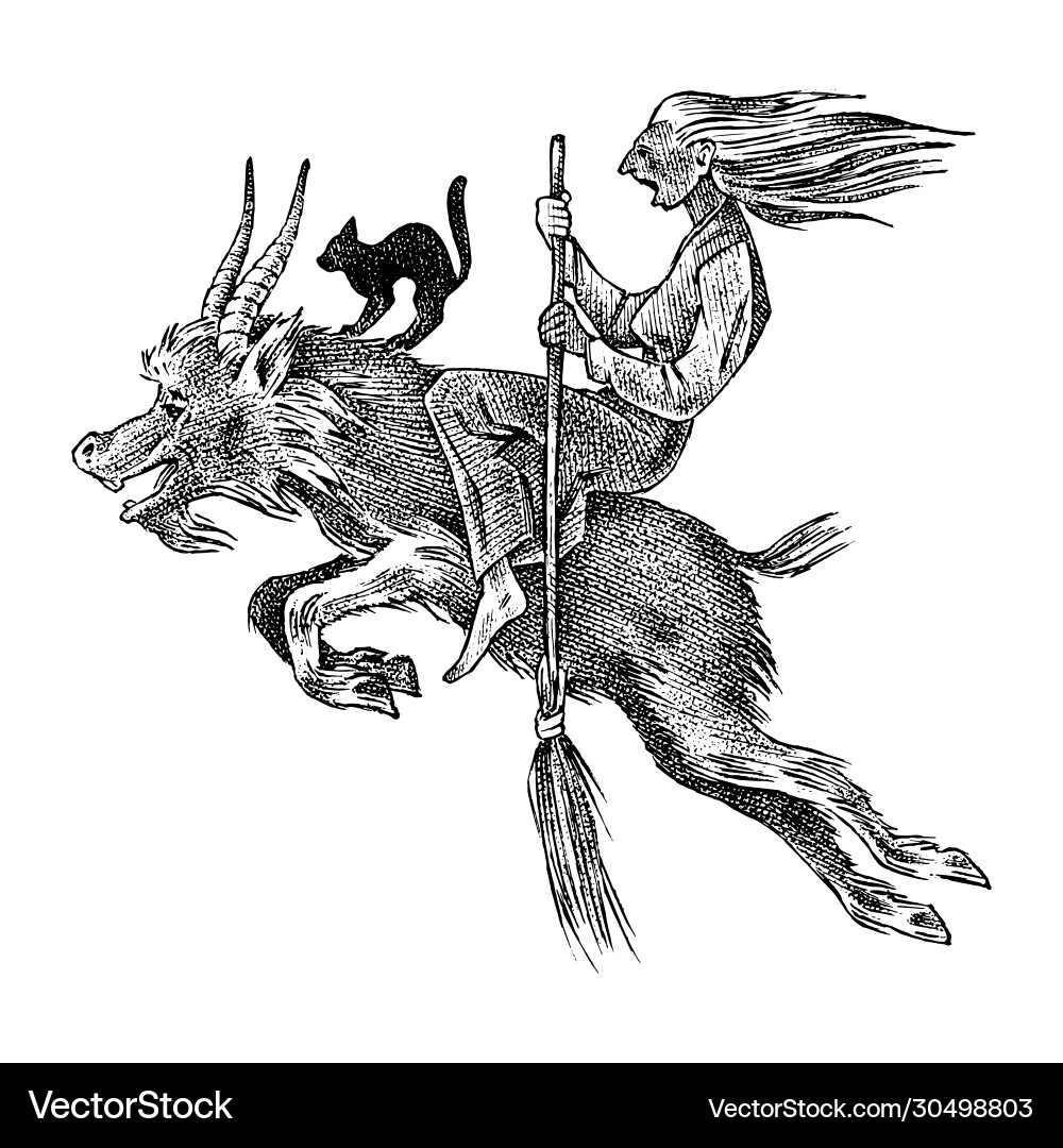 Witch flies with a broom and a goat ancient Vector Image