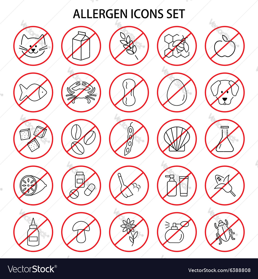 Set of allergen free products icons Insects and Vector Image Set of allergen free products icons Insects and Vector Image