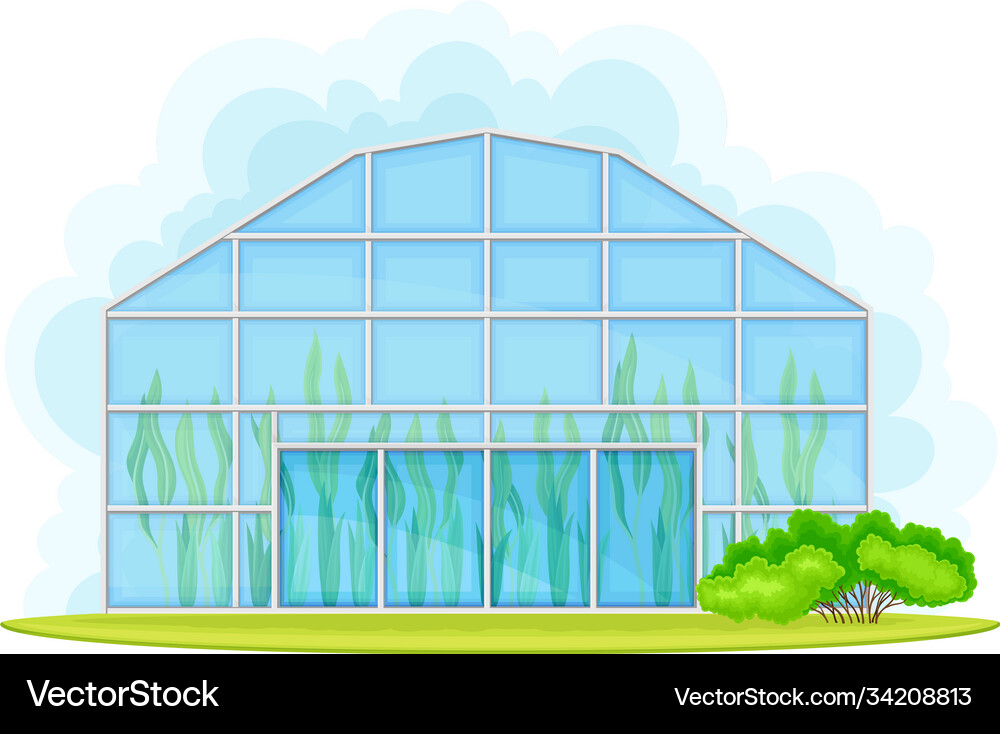 Germination bed or greenhouse with crops Vector Image