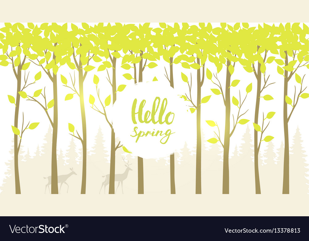 Green trees spring Royalty Free Vector Image - VectorStock