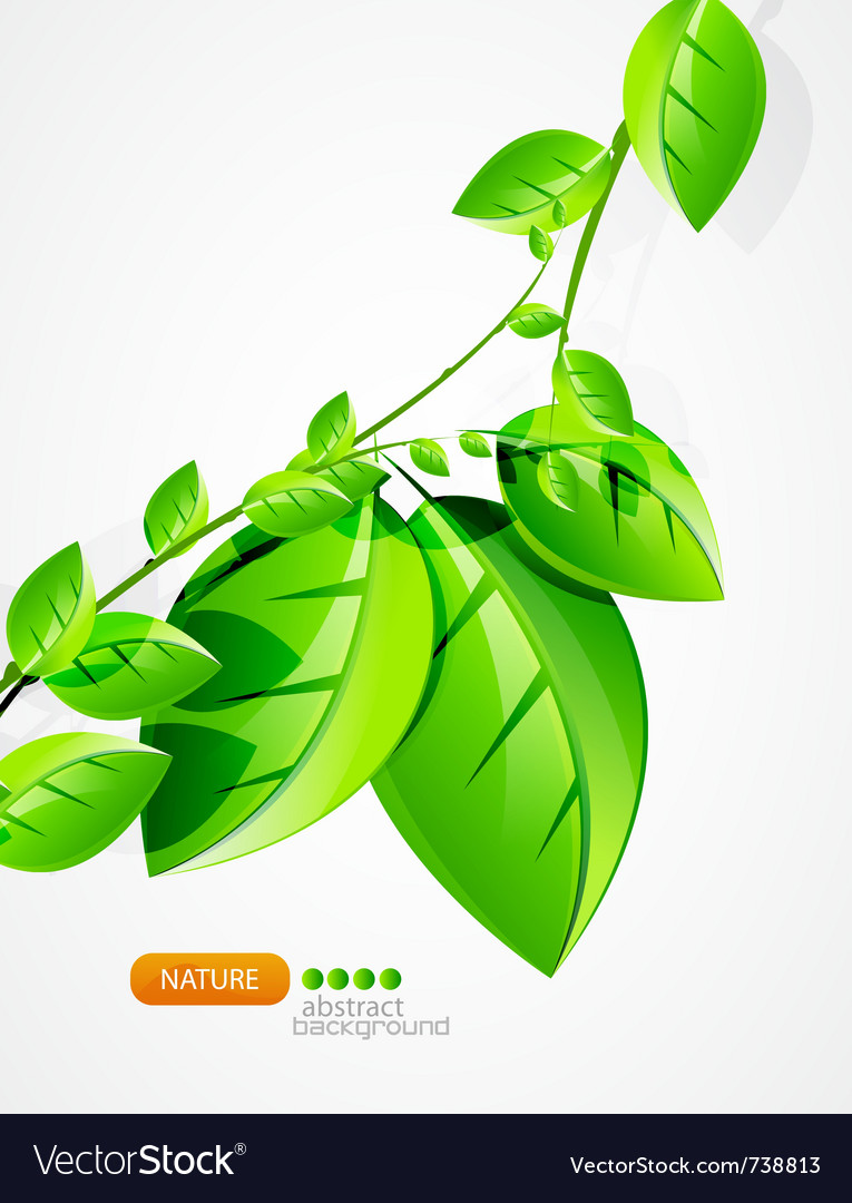 Nature background Royalty Free Vector Image - VectorStock