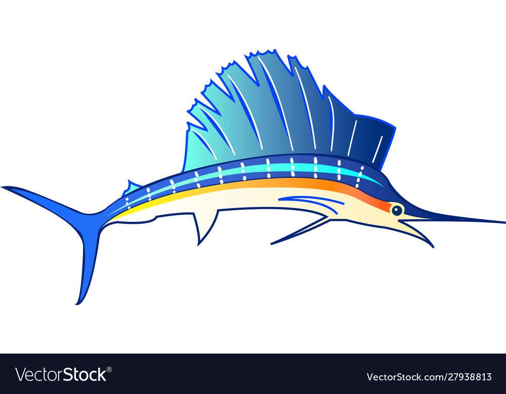 Sailfish Royalty Free Vector Image - VectorStock Sailfish Royalty Free Vector Image - VectorStock