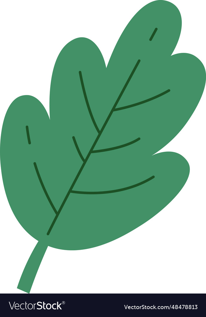 Tree leaf icon Royalty Free Vector Image - VectorStock