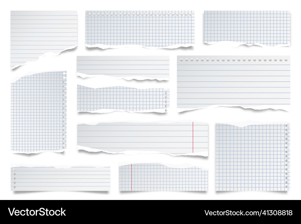 Ripped paper strips isolated on white background Vector Image