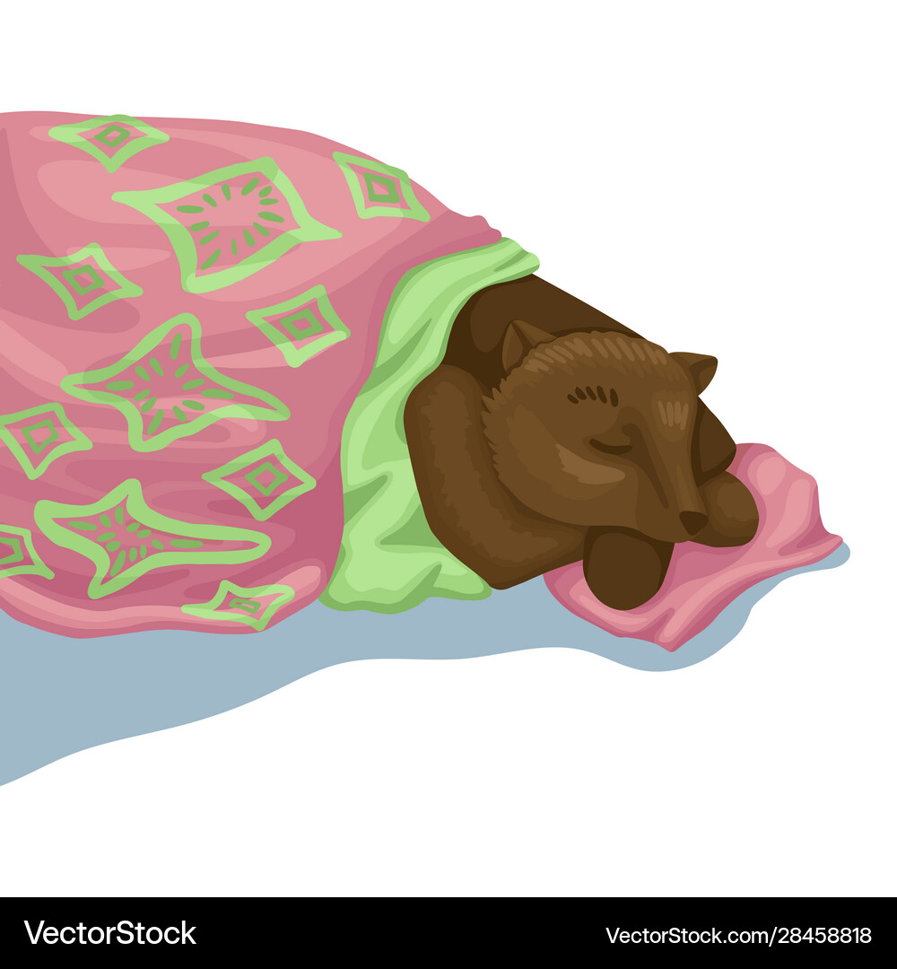 Sleeping brown bear blanket and pillow character Vector Image