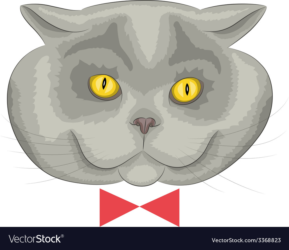 Cat Royalty Free Vector Image - VectorStock