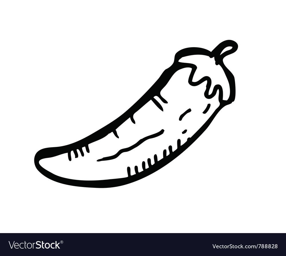 Chilli doodle Royalty Free Vector Image - VectorStock