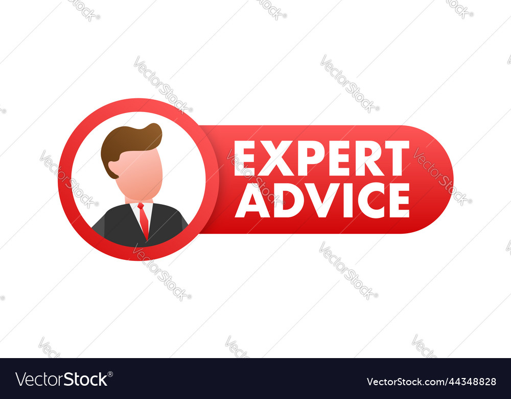 Expert advice icon business person presentation Vector Image