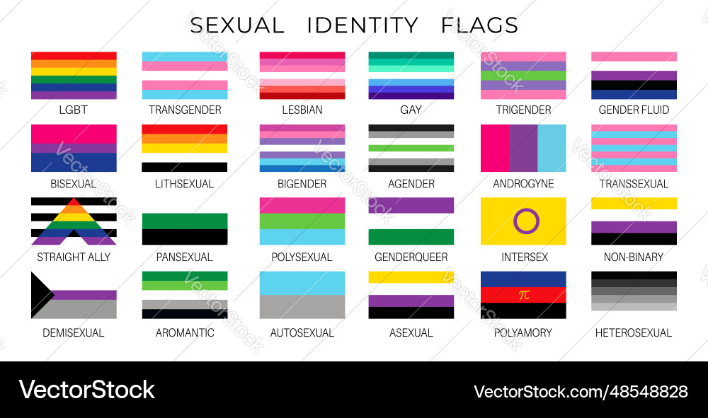 Lgbt pride flags sexual diversity and identity Vector Image