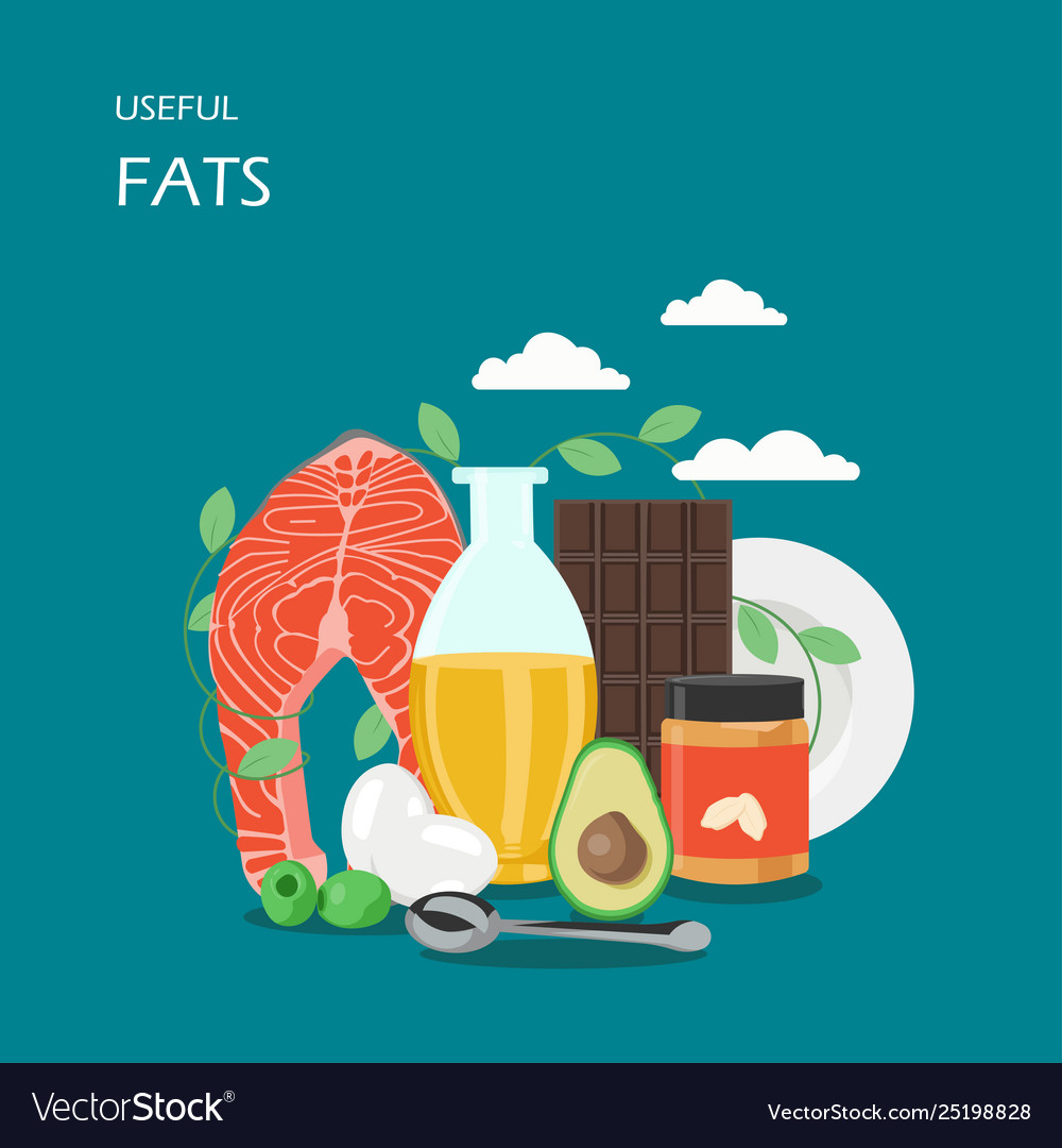 Useful fats flat style design Royalty Free Vector Image Useful fats flat style design Royalty Free Vector Image
