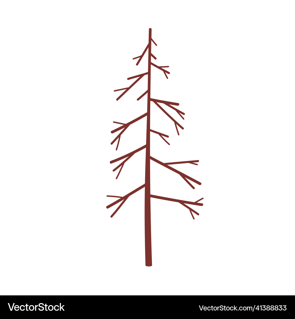 Bare dead fir tree with naked branches and trunk Vector Image