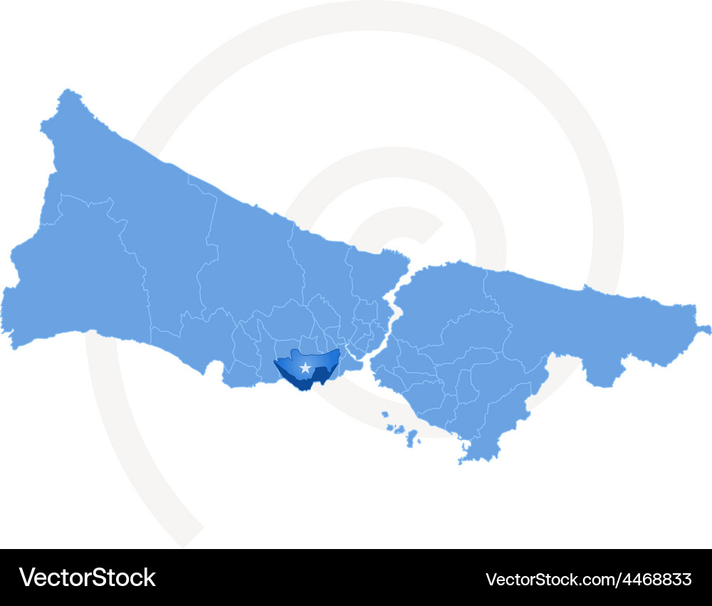 Map of istanbul with each administrative district Vector Image