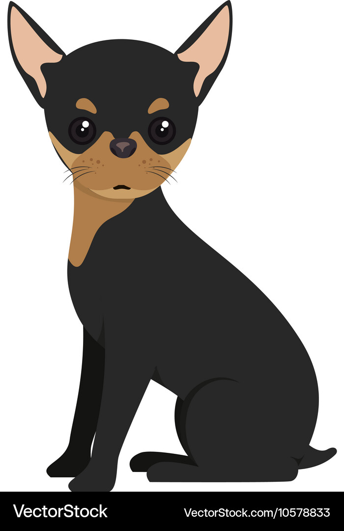 Pinscher dog cartoon Royalty Free Vector Image