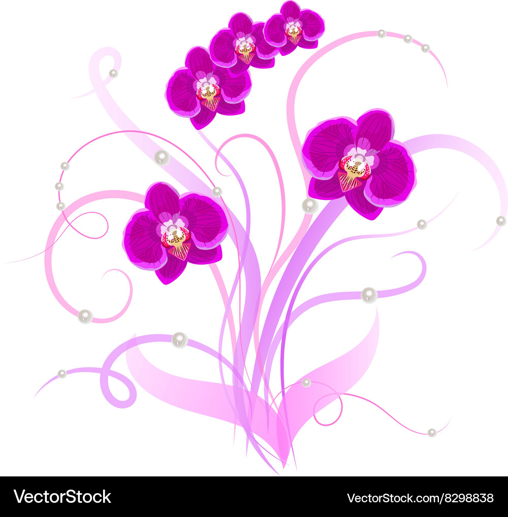 Decorative bouquet purple orchid Royalty Free Vector Image