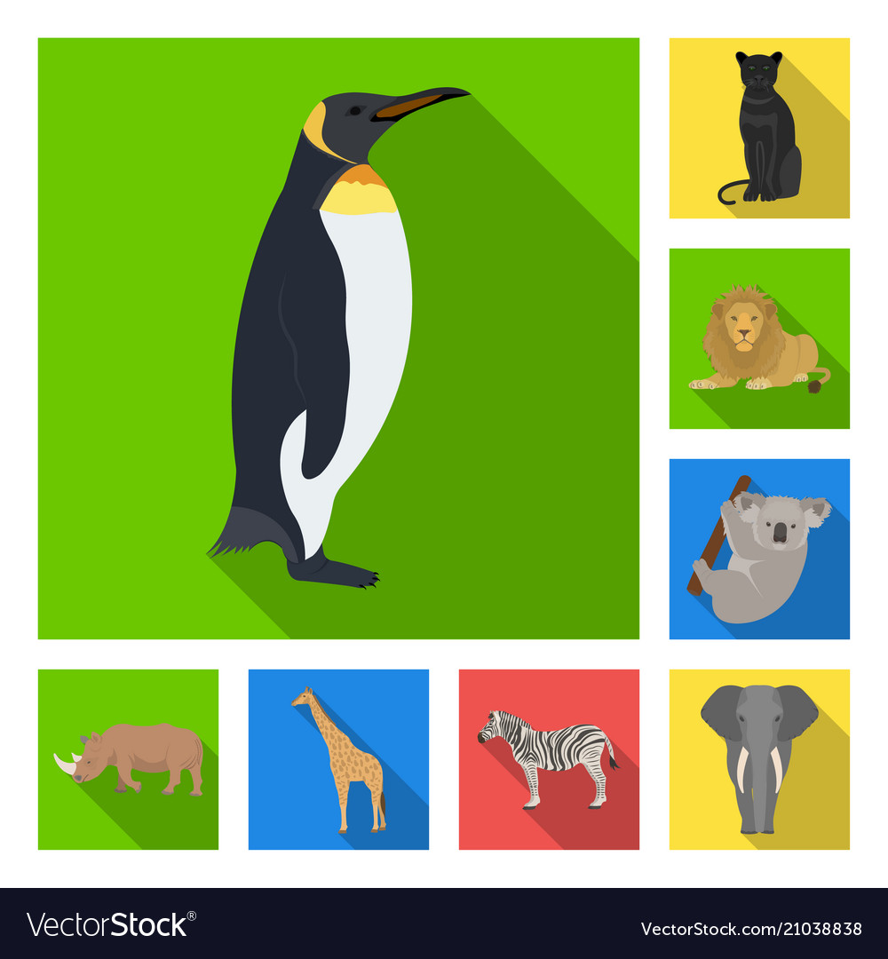 Different animals flat icons in set collection Vector Image