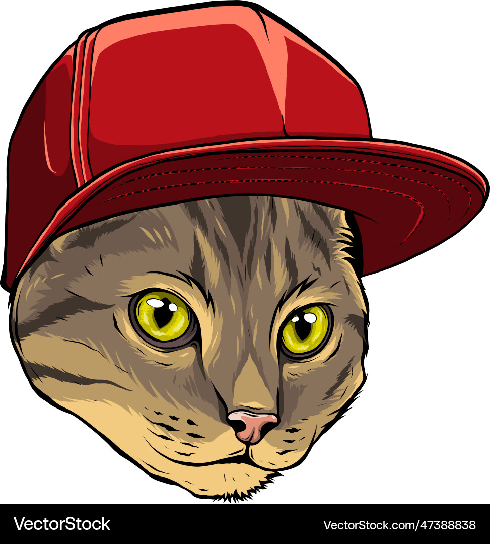 Hand draw of cat head design Royalty Free Vector Image