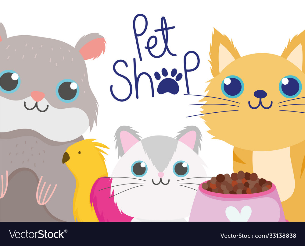 Pet shop cute animals hamster cats and bird Vector Image