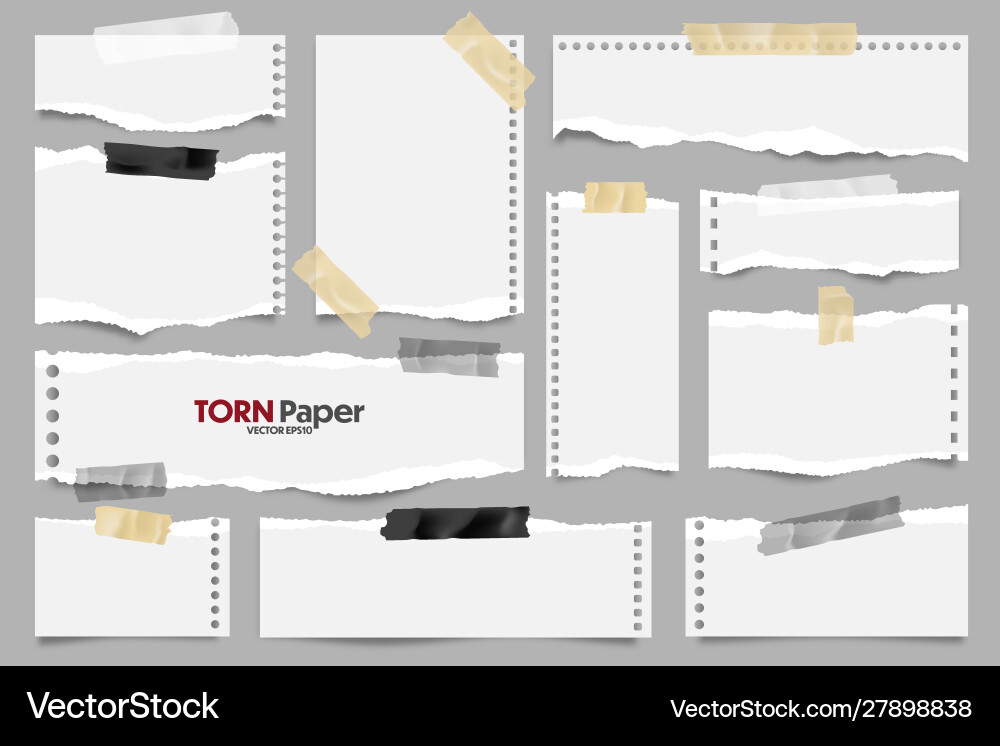 White ripped paper strips collection realistic Vector Image