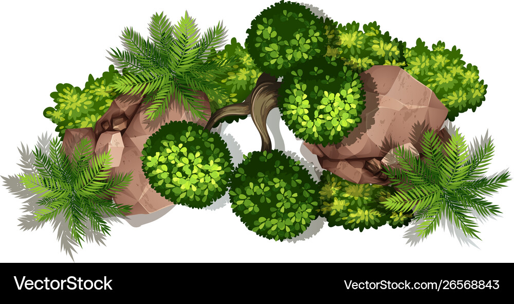Aerial view plants and rocks Royalty Free Vector Image
