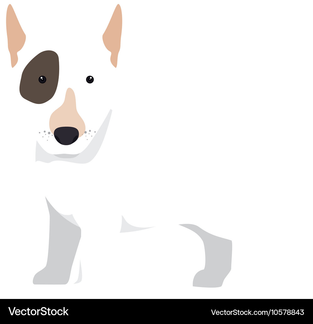 Bull terrier dog cartoon Royalty Free Vector Image