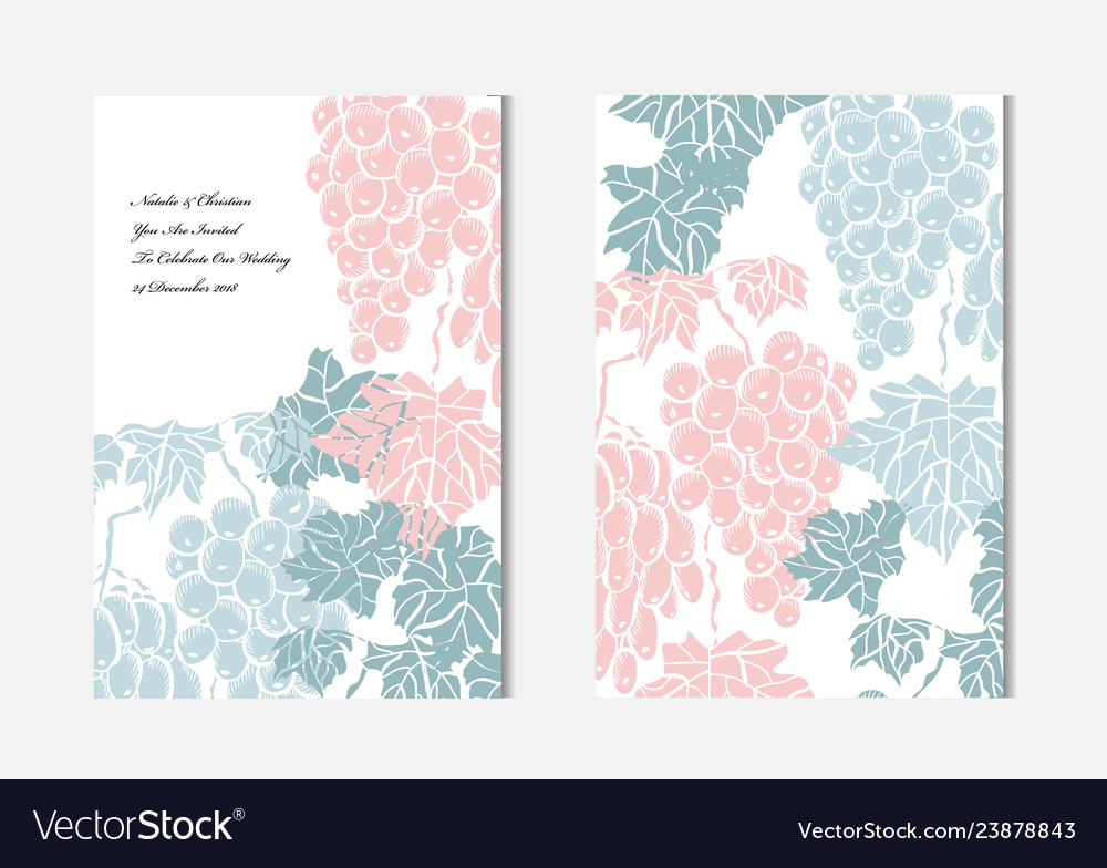 Grape cards set Royalty Free Vector Image - VectorStock