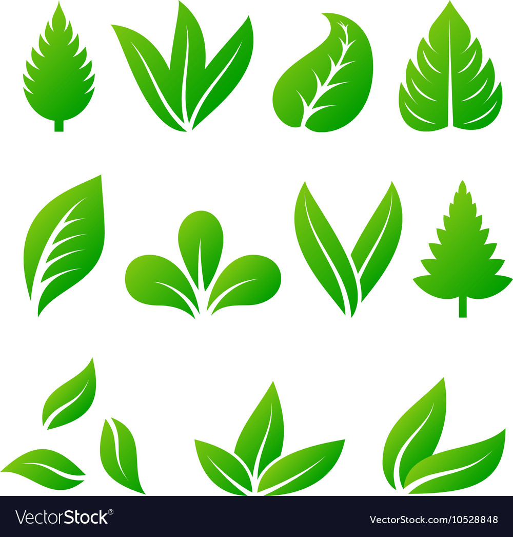 Leaf icon Royalty Free Vector Image - VectorStock
