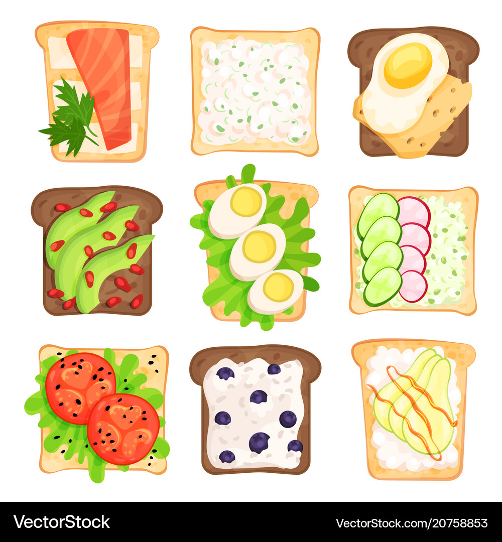 Flat set of toasted bread slices with Royalty Free Vector