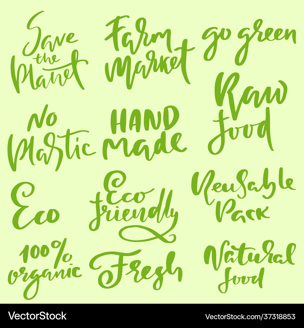 Set brush calligraphy eco style templates Vector Image