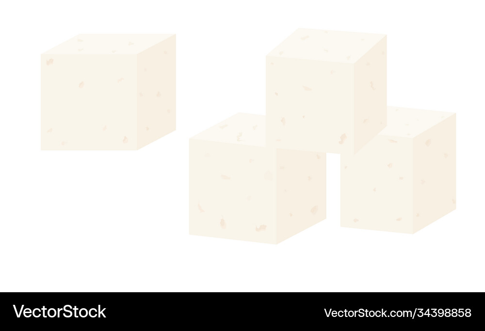 Feta soft cheese isolated on white background Vector Image
