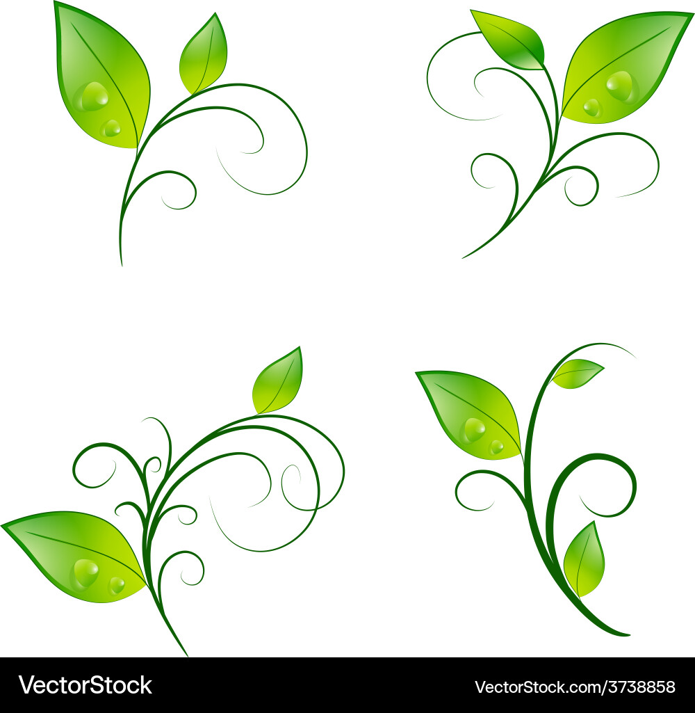 Leaf floral decoration eco set Royalty Free Vector Image