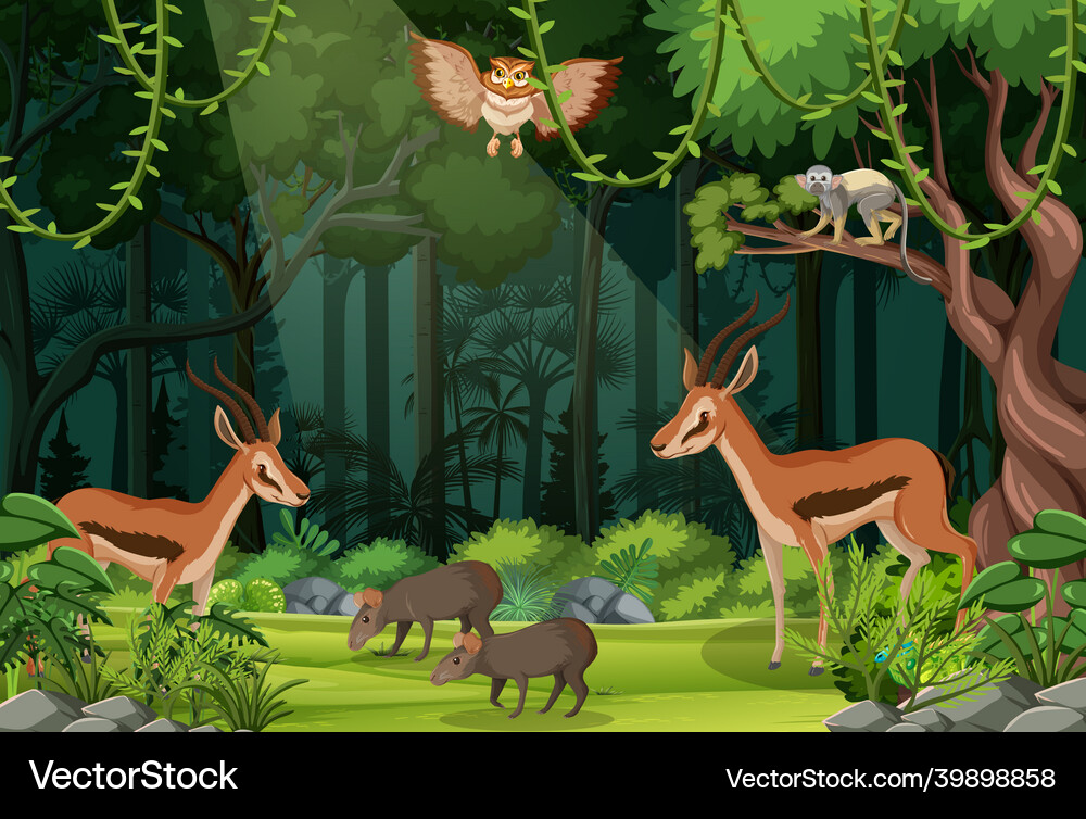 Wild animals in forest landscape background Vector Image