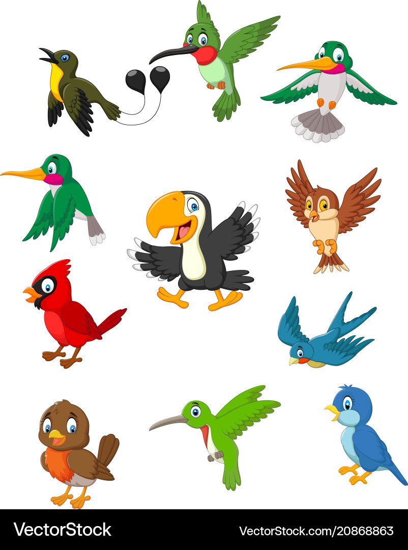 Cartoon birds collection set Royalty Free Vector Image