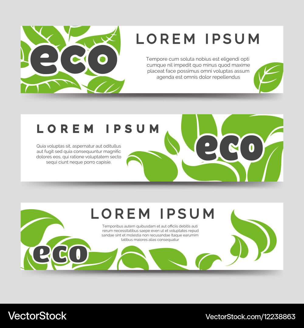 Eco banners template with green leaves Royalty Free Vector