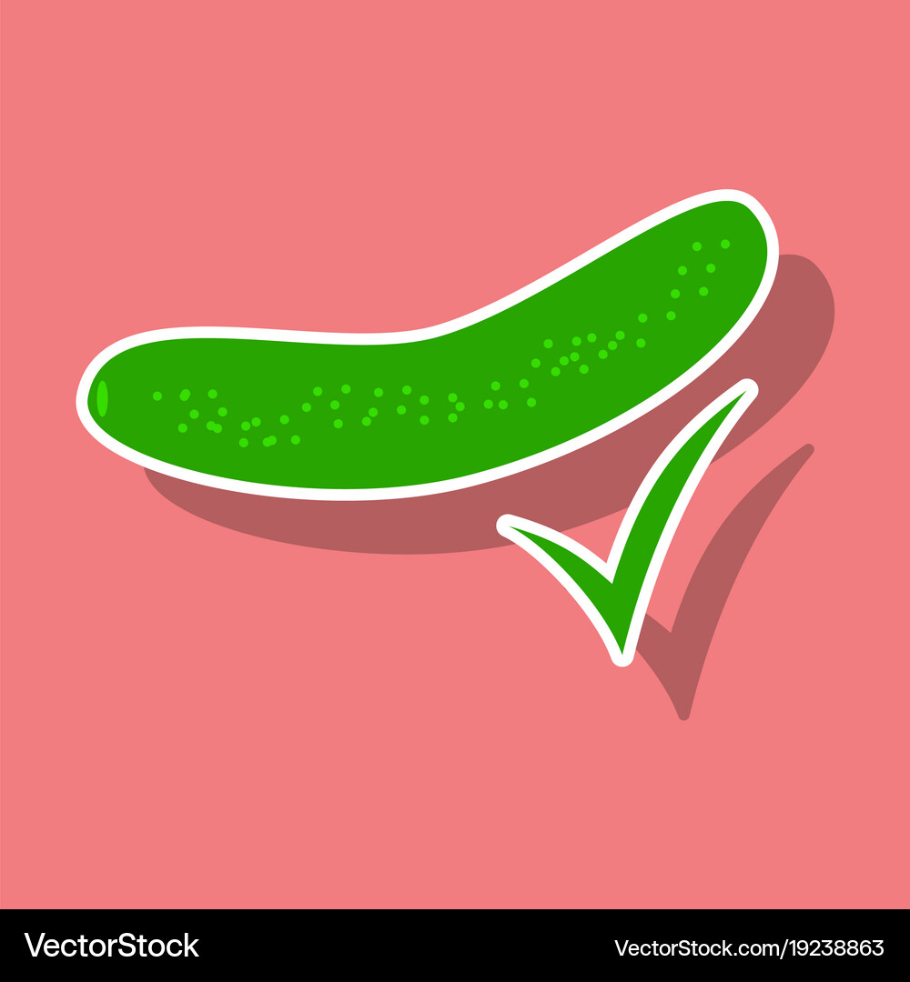 Fresh cucumber vegetable isolated sticker icon Vector Image