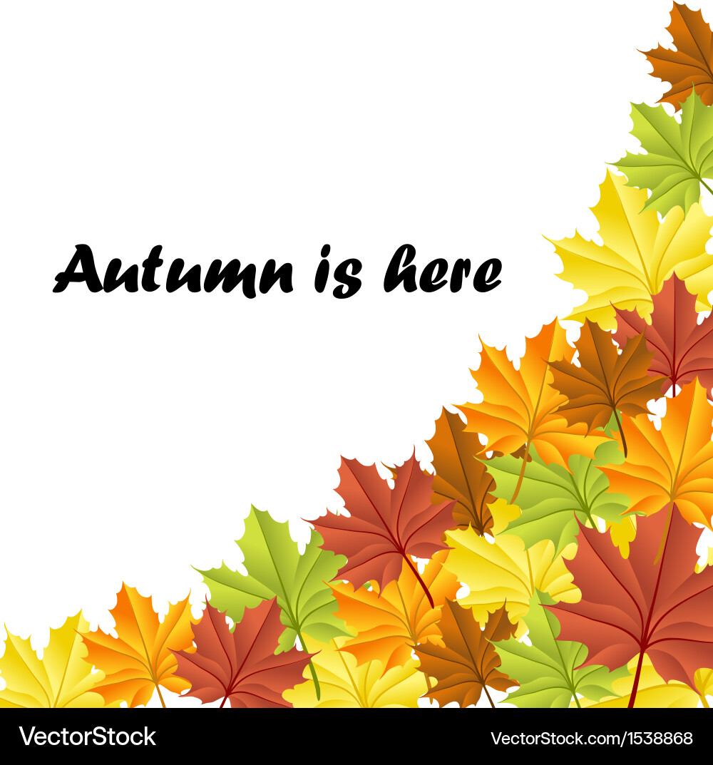 Autumn frame with colorful leaves Royalty Free Vector Image