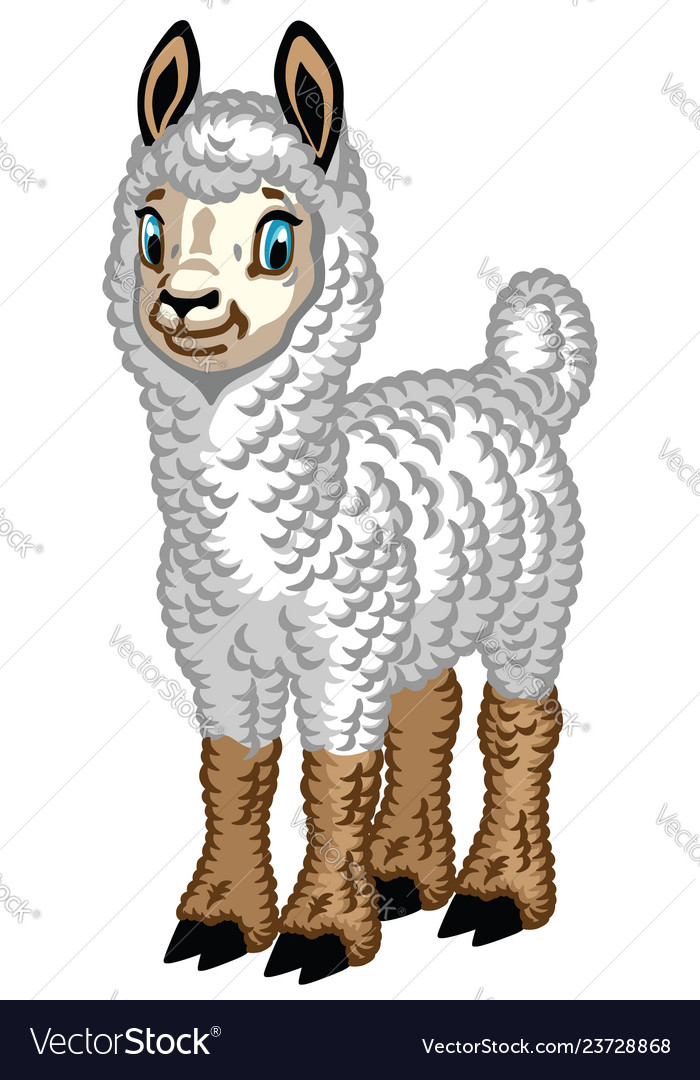 Cartoon alpaca Royalty Free Vector Image - VectorStock