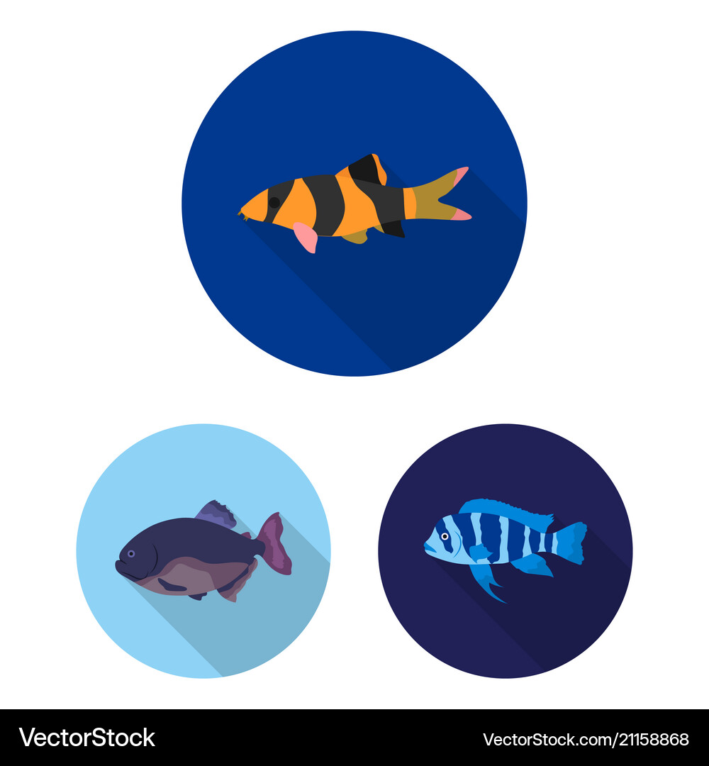 Different types of fish flat icons in set Vector Image