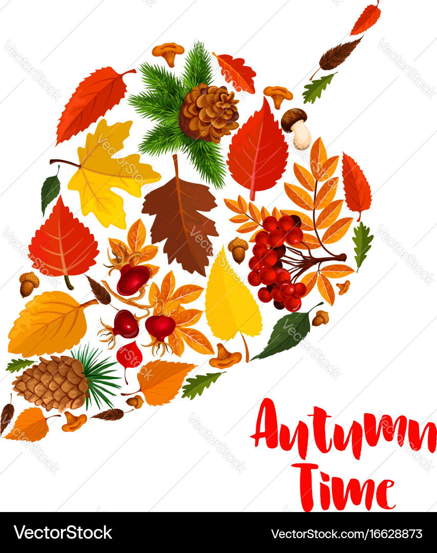 Autumn leaf poster with fall foliage mushroom Vector Image