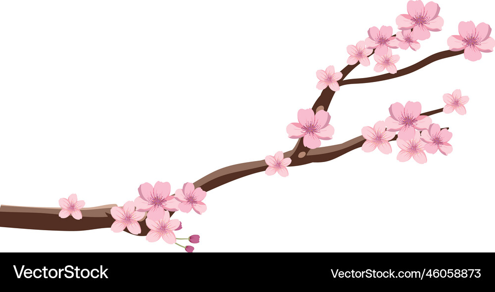 Japanese cherry blossom graphic Royalty Free Vector Image