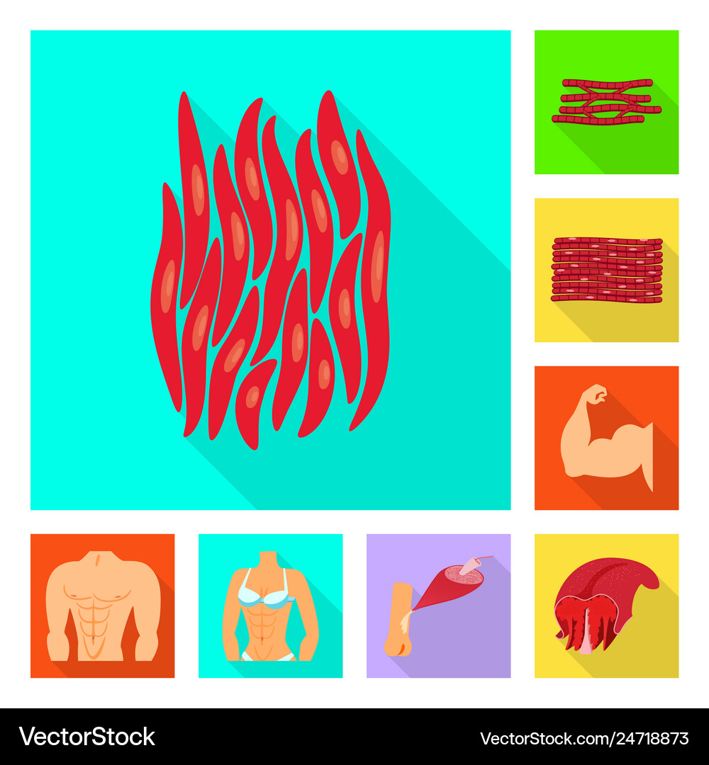 Muscle and cells sign Royalty Free Vector Image