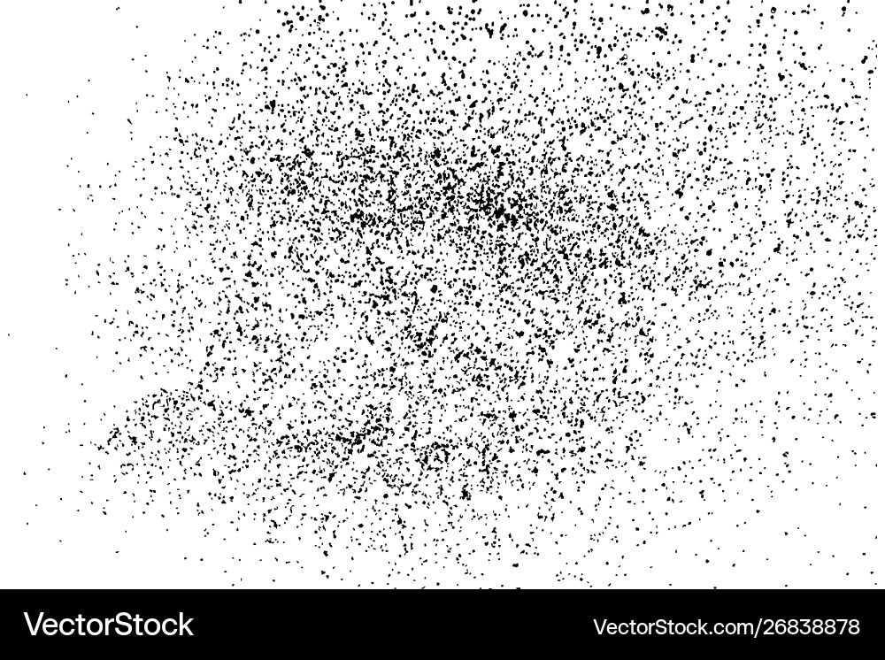 Abstract grainy texture isolated on white Vector Image